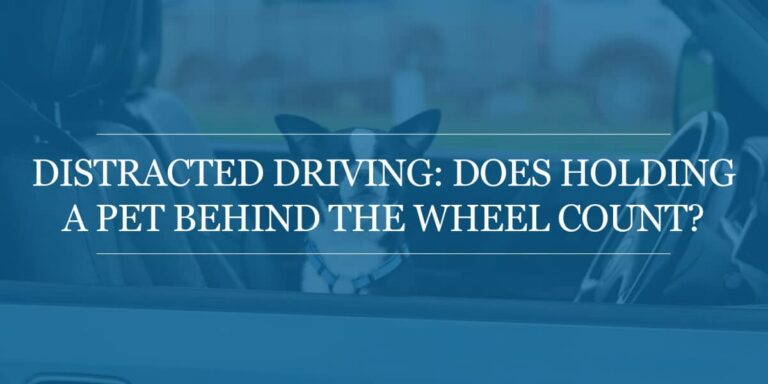Distracted Driving and Pets - Levar Law Injury & Accident Lawyers